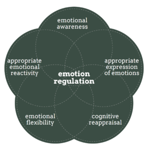Emotional dysregulation - 5 Components - Personal Psychology
