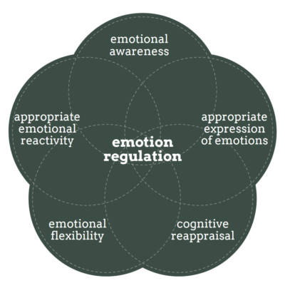 Emotional dysregulation - 5 Components - Personal Psychology