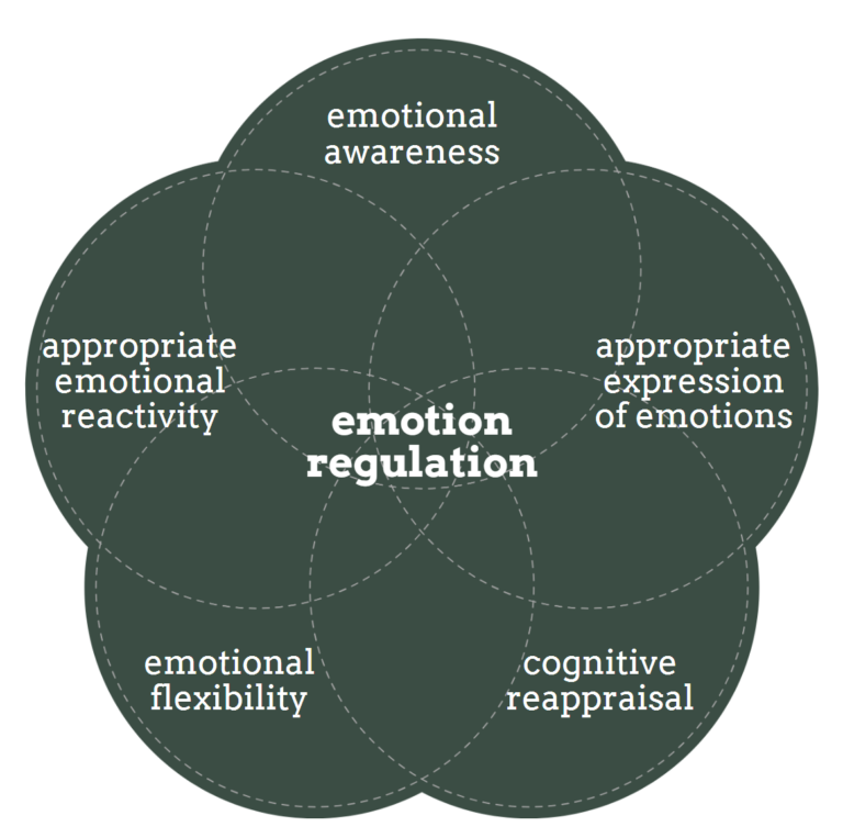 Emotional dysregulation - 5 Components - Personal Psychology