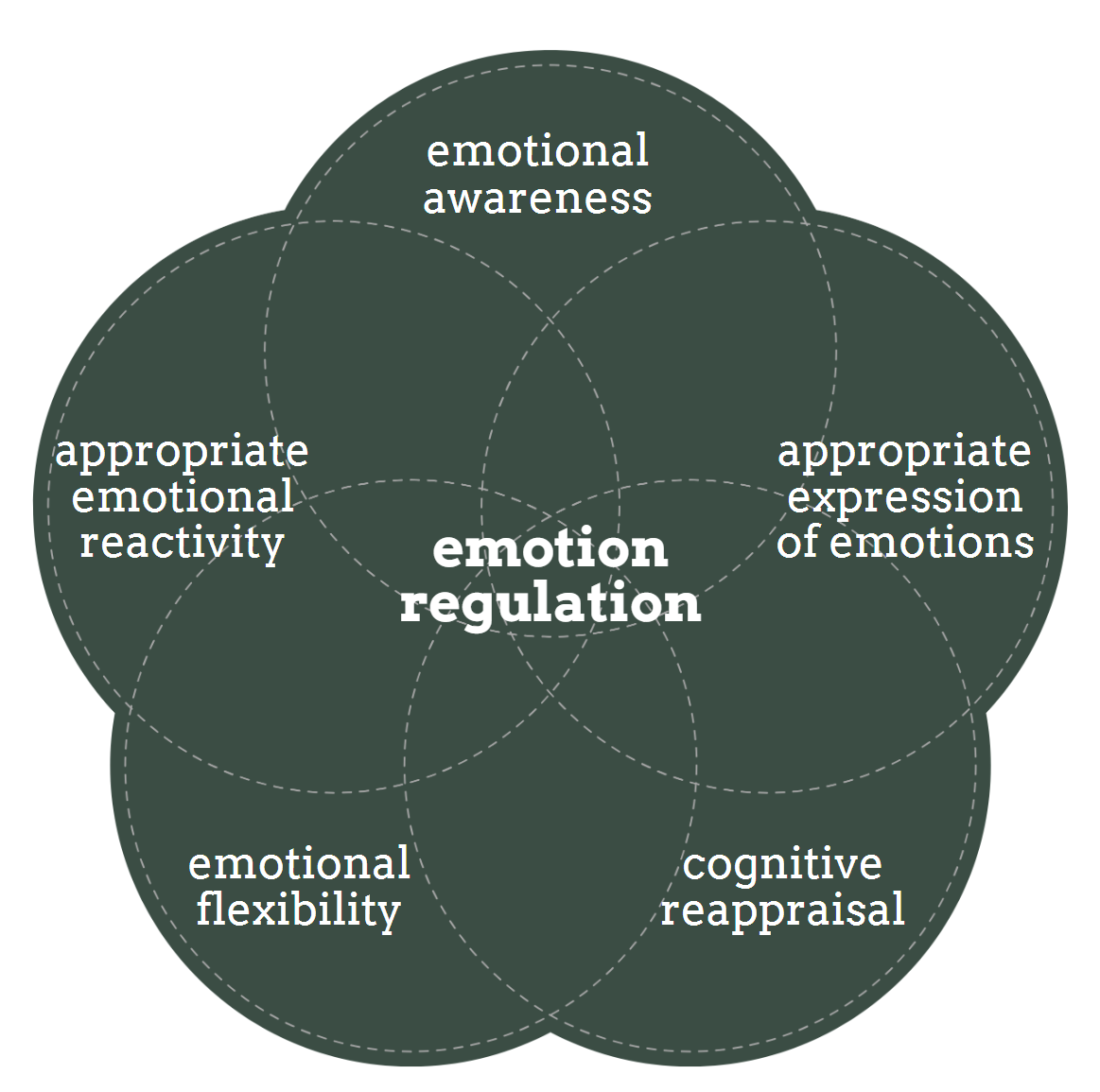 Emotional dysregulation - 5 Components - Personal Psychology